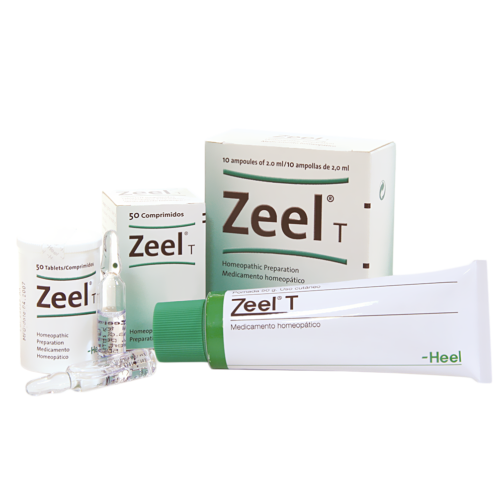 ЗИИЛ Т (Zeel T)